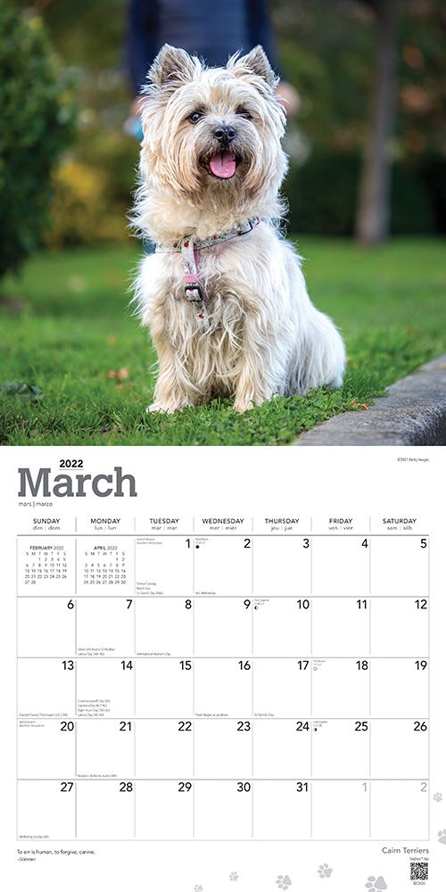 Cairn Terriers - 2022 Wall Calendar, Dog Breed Wall Calendar by ...