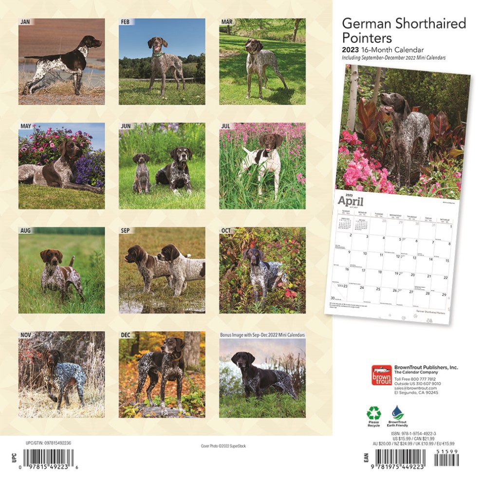 German Shorthaired Pointers - 2023 Wall Calendar by Browntrout ...