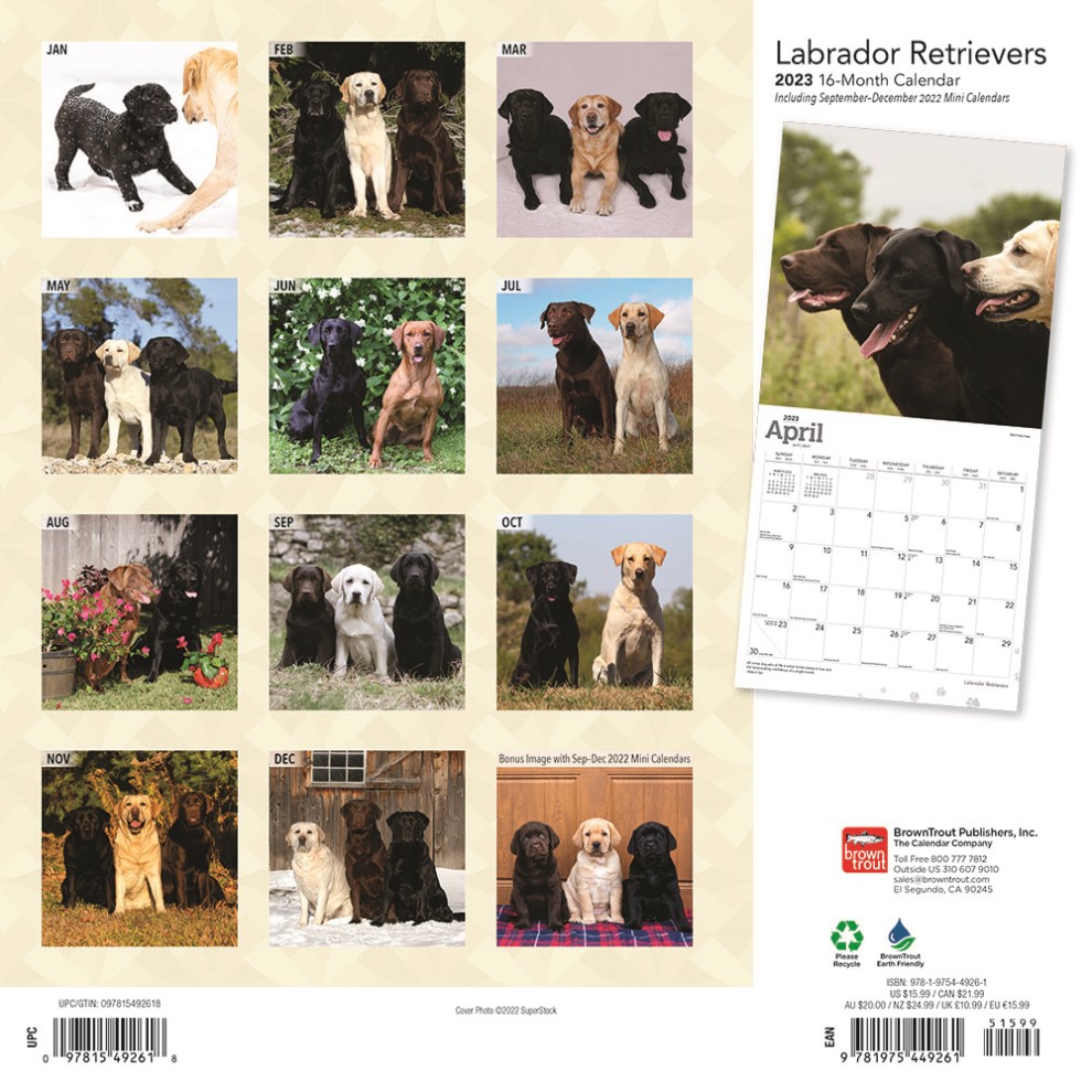 Labrador Retrievers - 2023 Wall Calendar by Browntrout | 9781975449261 ...