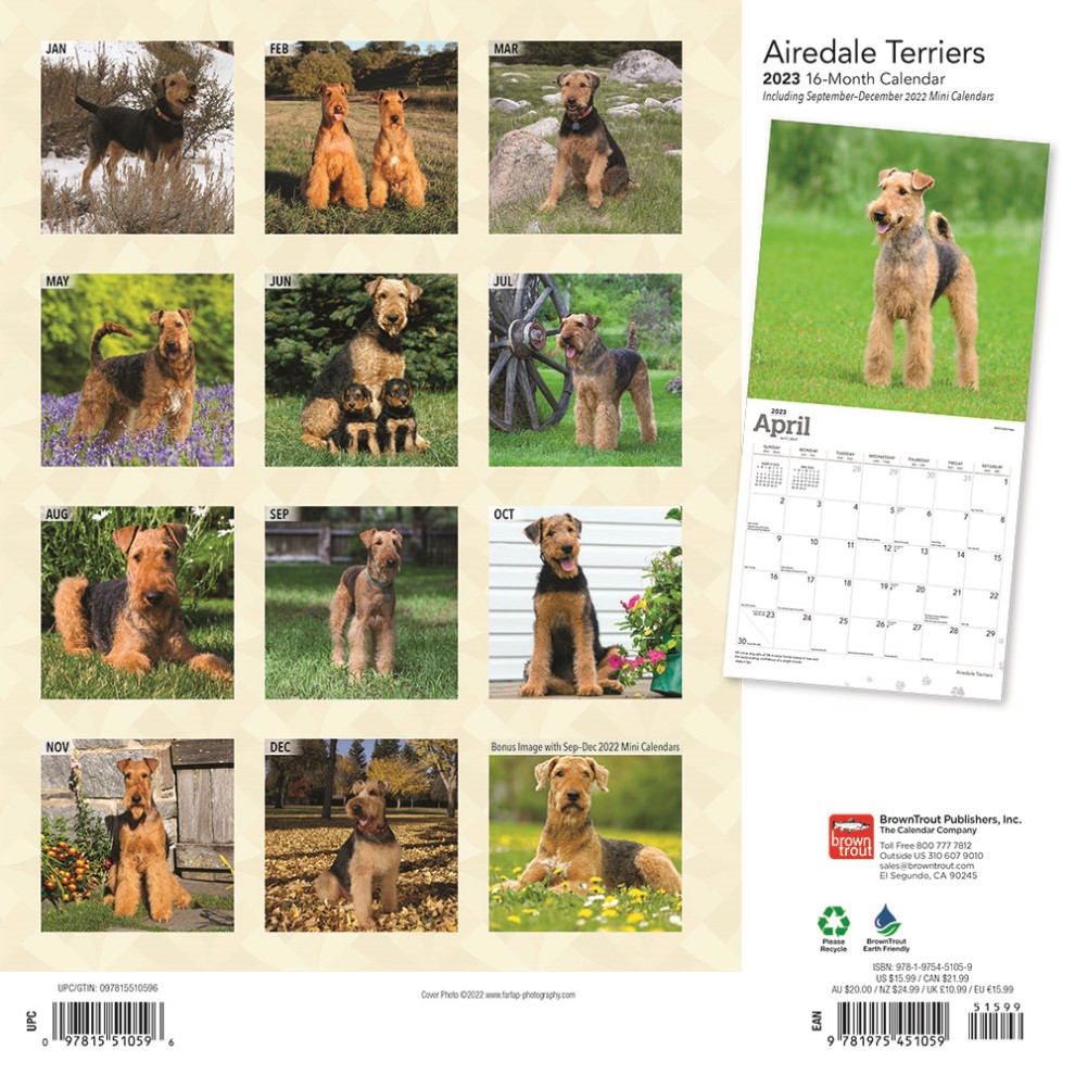 Airedale Terriers - 2023 Wall Calendar by Browntrout | 9781975451059 ...