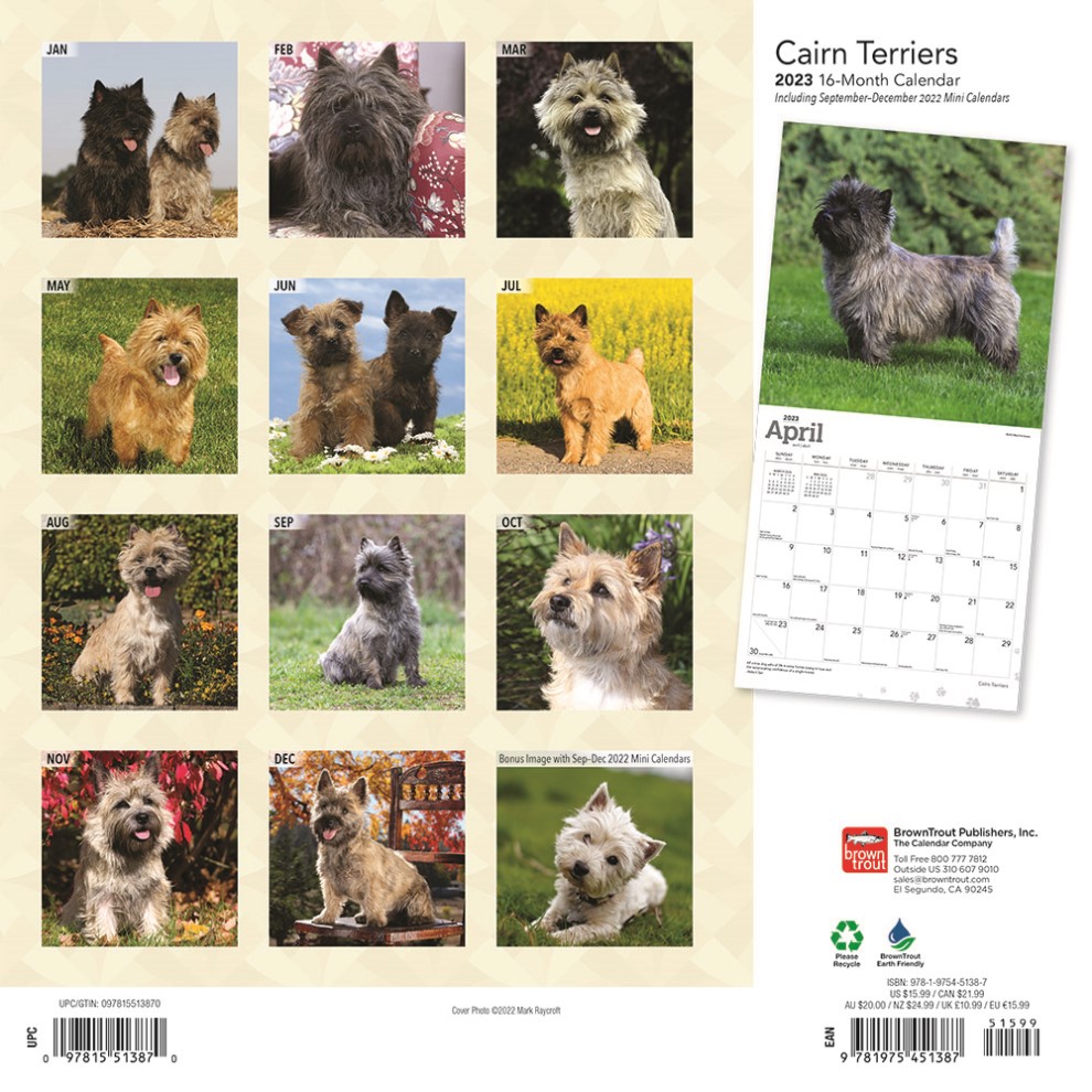 Cairn Terriers - 2023 Wall Calendar by Browntrout | 9781975451387 ...