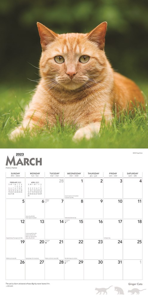 Ginger Cats - 2023 Wall Calendar by Browntrout | 9781975451660 | Booktopia