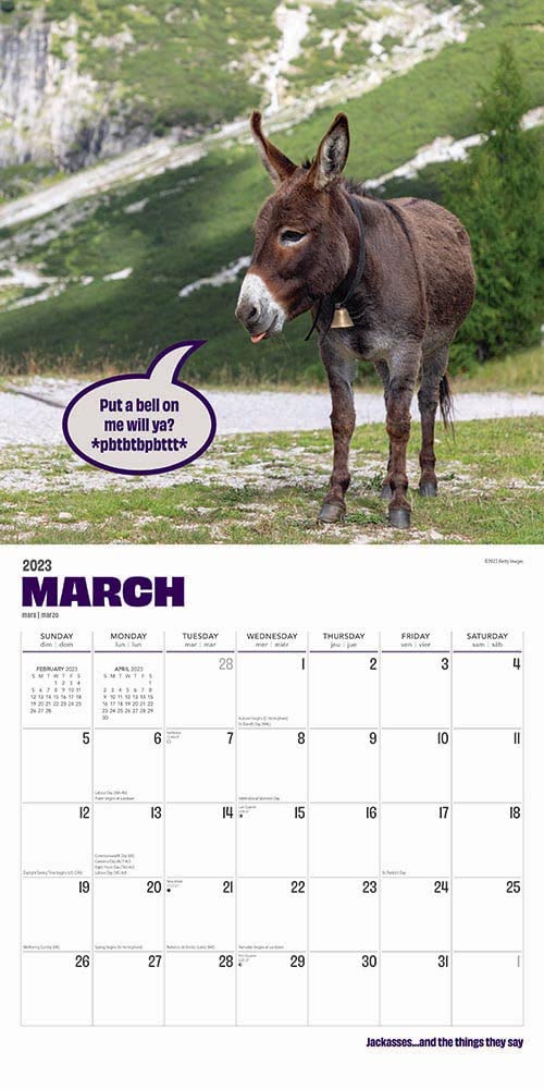 Jackasses - 2023 Wall Calendar by Browntrout | 9781975451875 | Booktopia