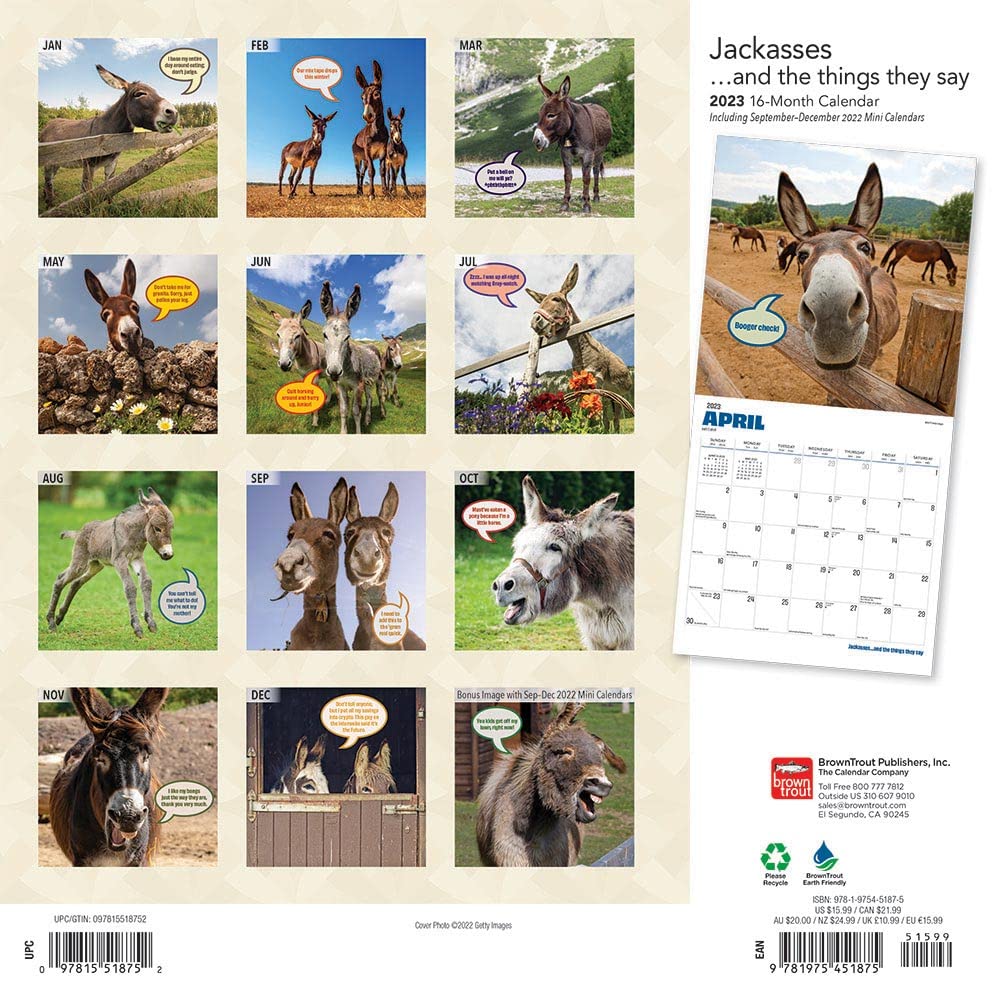 Jackasses - 2023 Wall Calendar by Browntrout | 9781975451875 | Booktopia