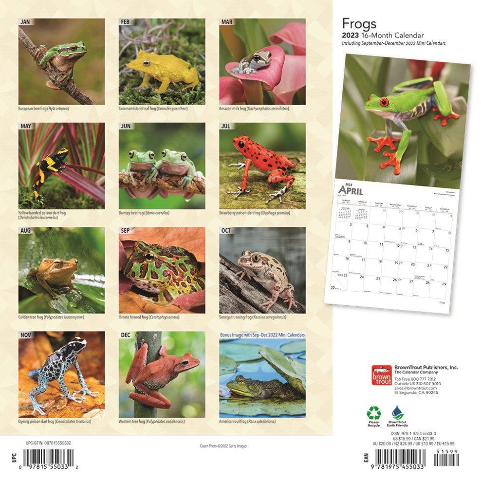 Frogs - 2023 Wall Calendar by Browntrout | 9781975455033 | Booktopia