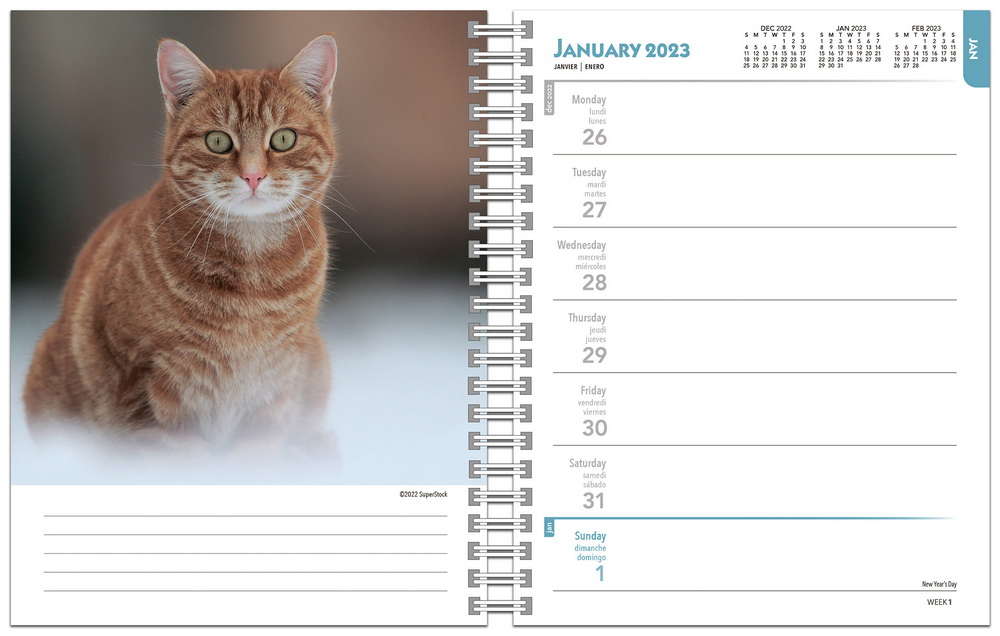 Cat Lovers - 2023 Engagement Calendar (Diary) by Browntrout ...