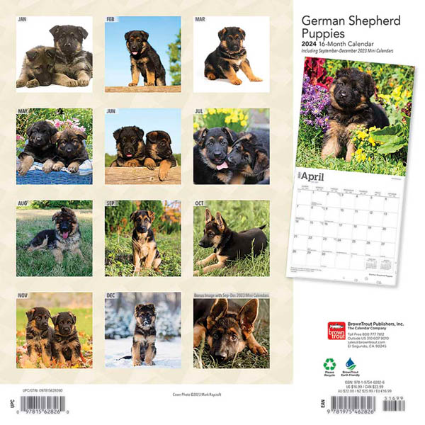 German Shepherd Puppies - 2024 Wall Calendar by Browntrout ...
