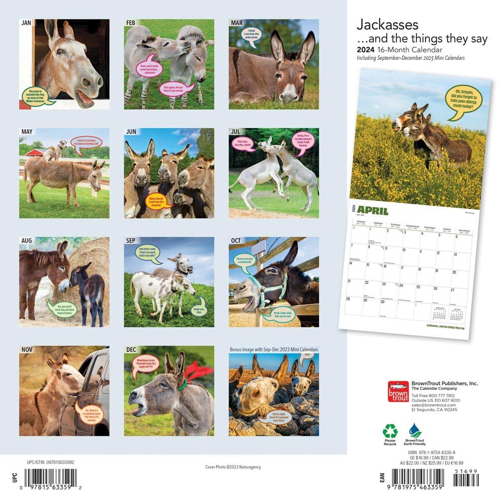 Jackasses - 2024 Wall Calendar, ... and the things they say by ...