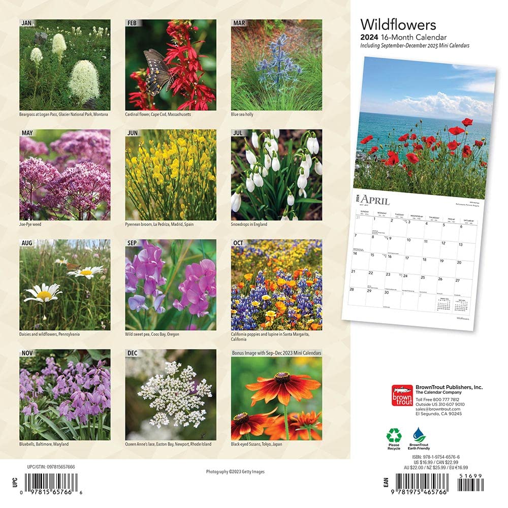 Wildflowers - 2024 Wall Calendar by Browntrout | 9781975465766 | Booktopia