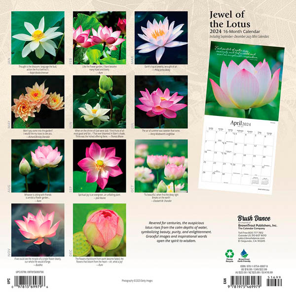 Jewel of the Lotus - 2024 Wall Calendar (Brush Dance) by Browntrout ...