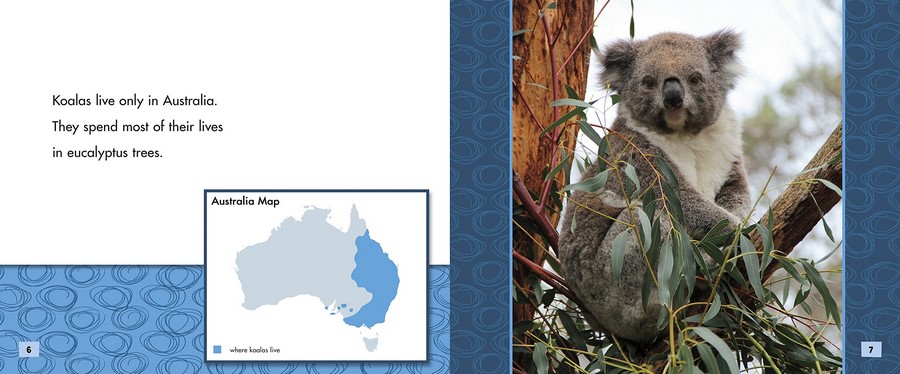 Australian Animals : Koalas, A 4D Book by Sara Louise Kras ...