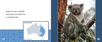 Australian Animals : Koalas by Sara Louise Kras | A 4D Book ...