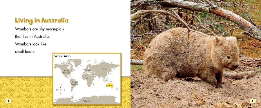 Australian Animals : Wombats by Sara Louise Kras | A 4D Book ...