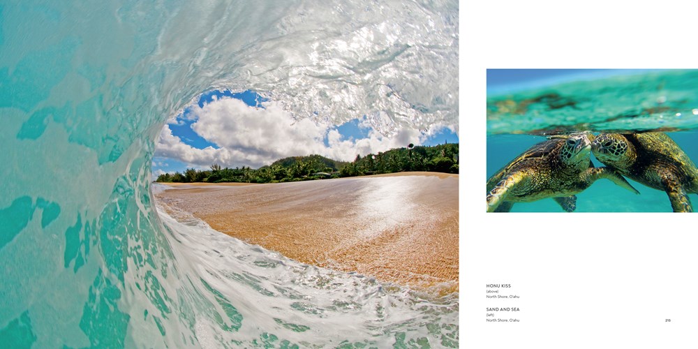 Clark Little by Clark Little | The Art of Waves | 9781984859785 | Booktopia