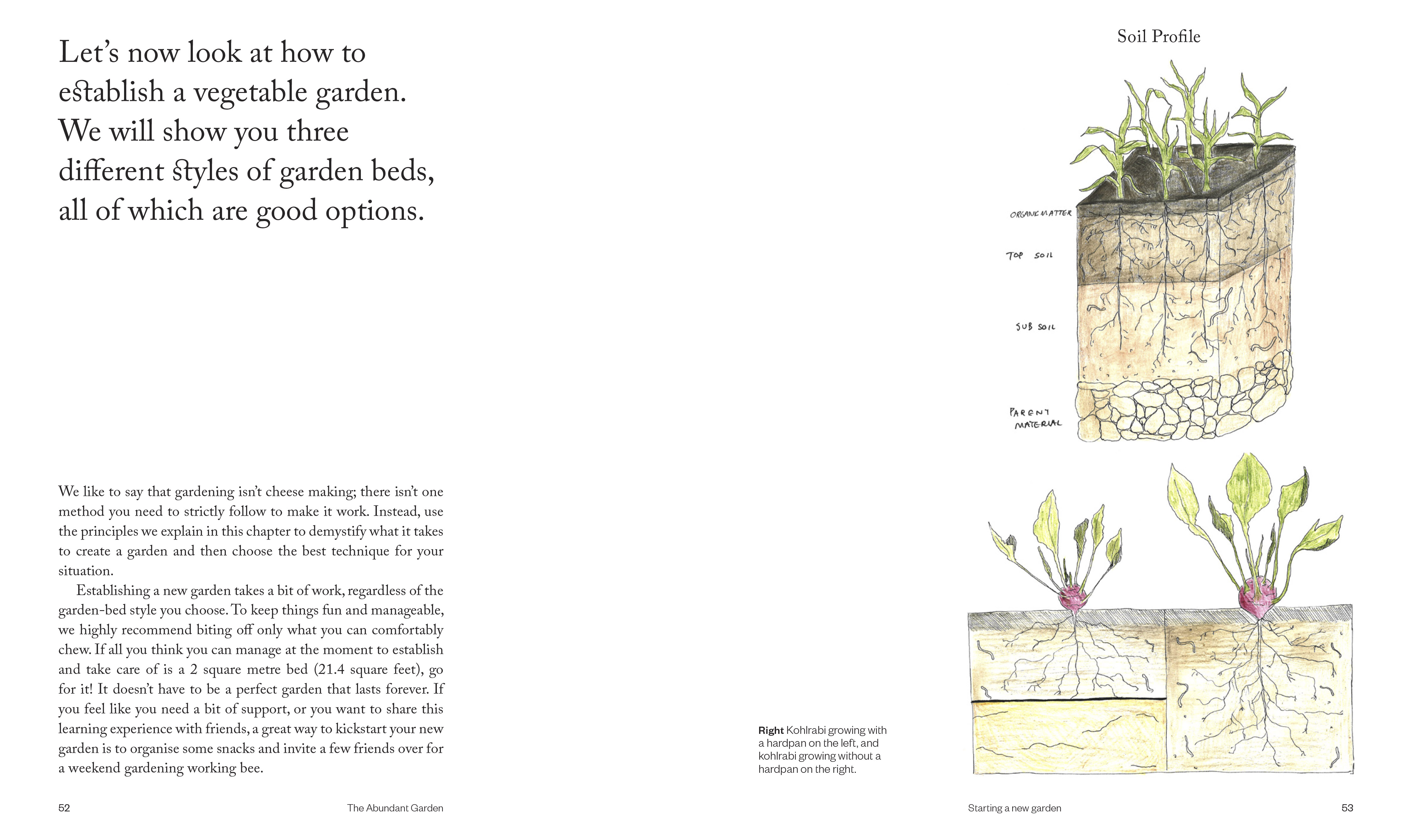 The Abundant Garden, A practical guide to growing a regenerative home ...