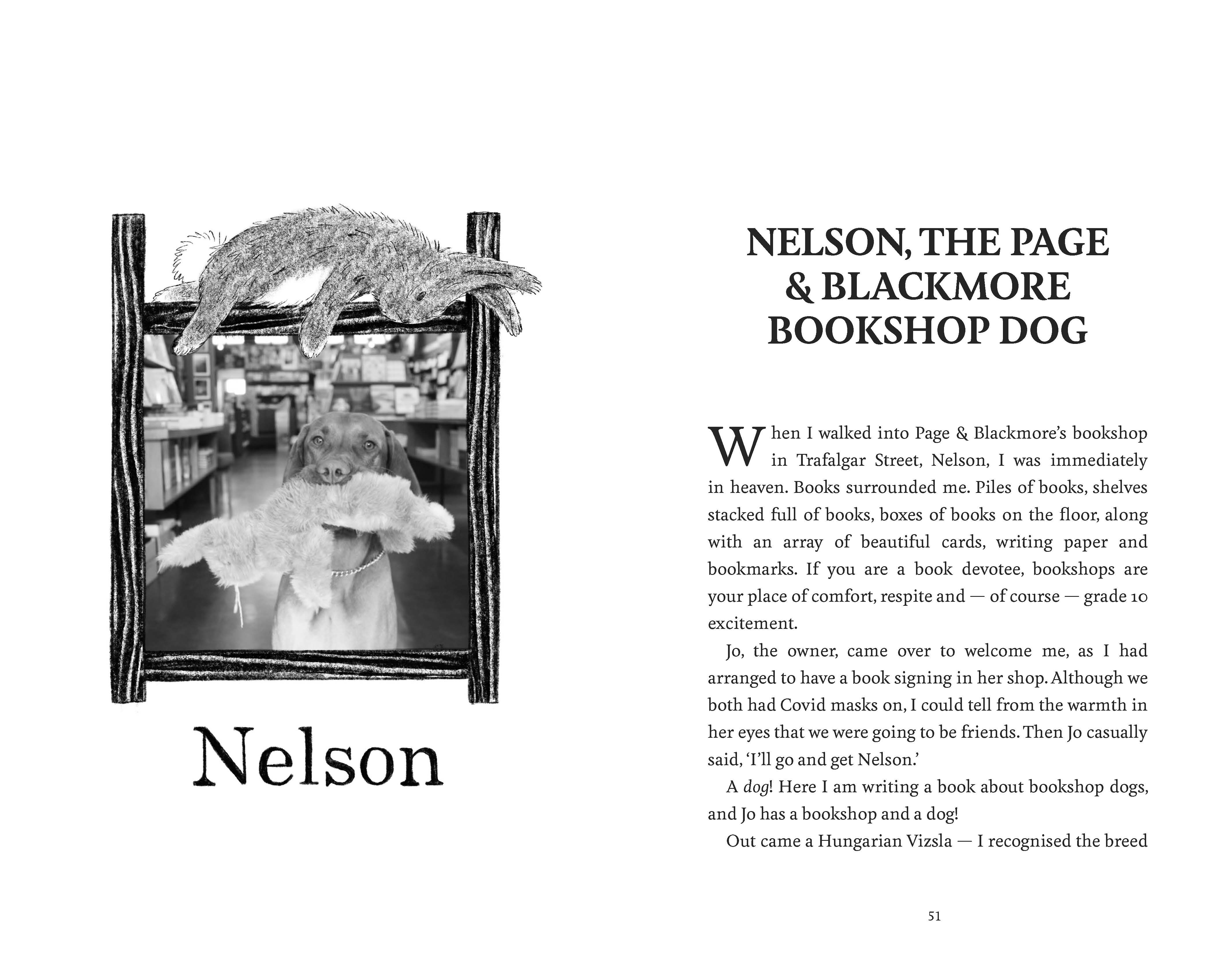 Bookshop Dogs by Ruth Shaw | 9781991006264 | Booktopia