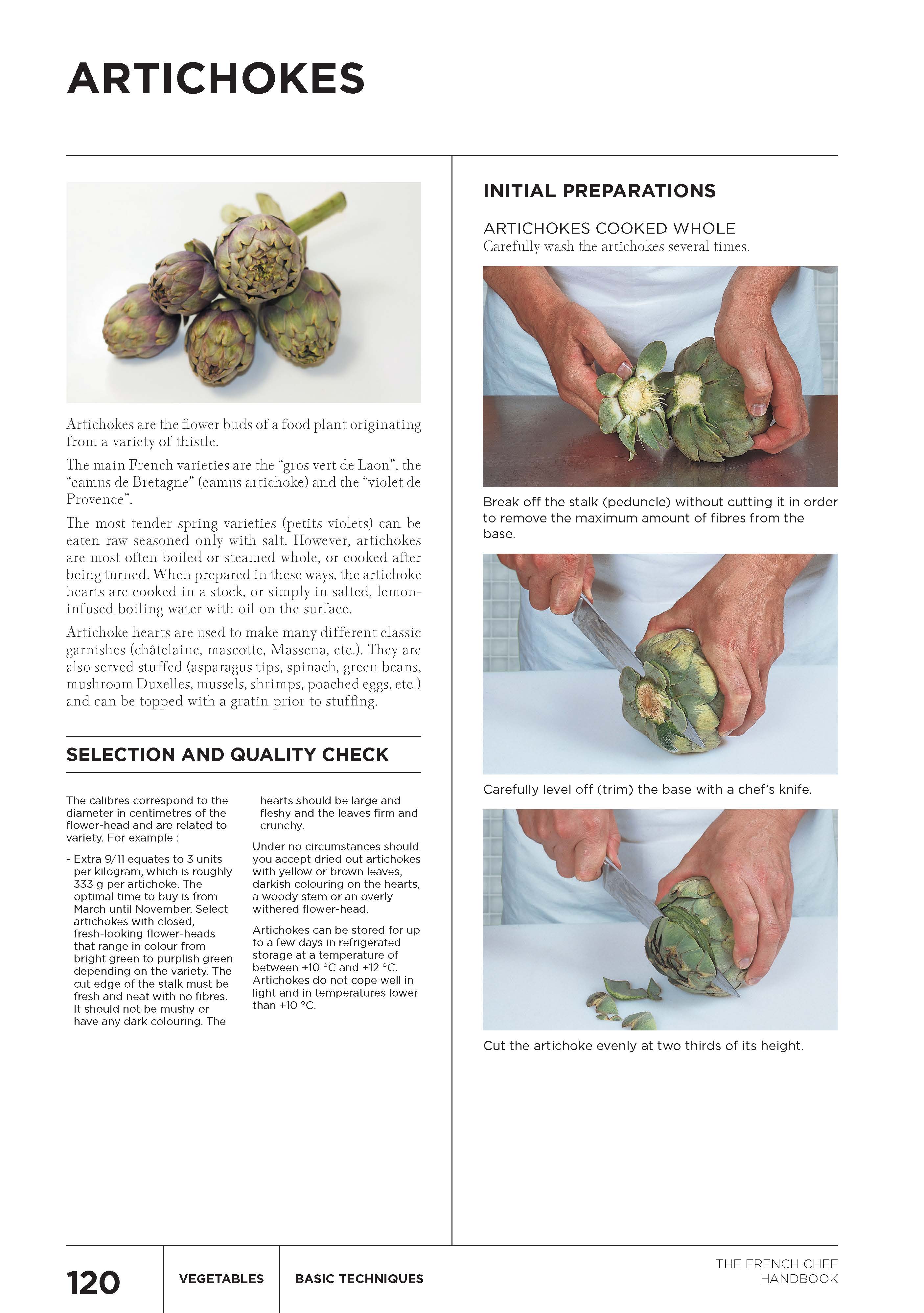 The French Chef Handbook, La cuisine de reference by Michel Maincent ...