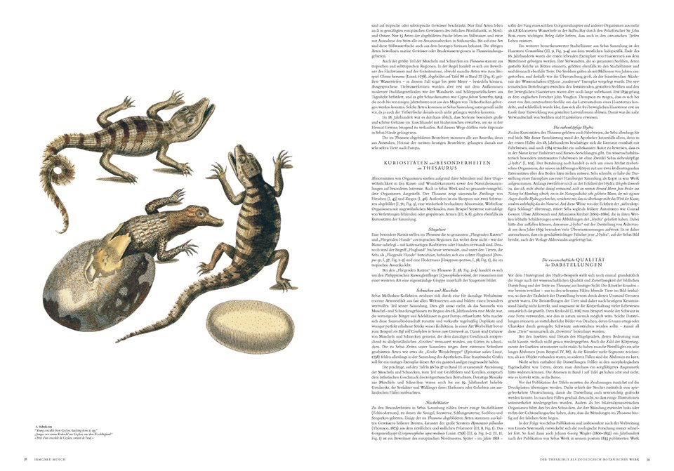 Albertus Seba's Cabinet of Natural Curiosities, 25 by Albertus Seba ...