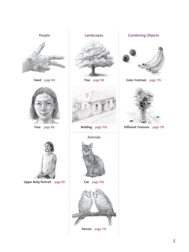 The Complete Guide to Drawing for Beginners, 21 Step-by-Step Lessons ...