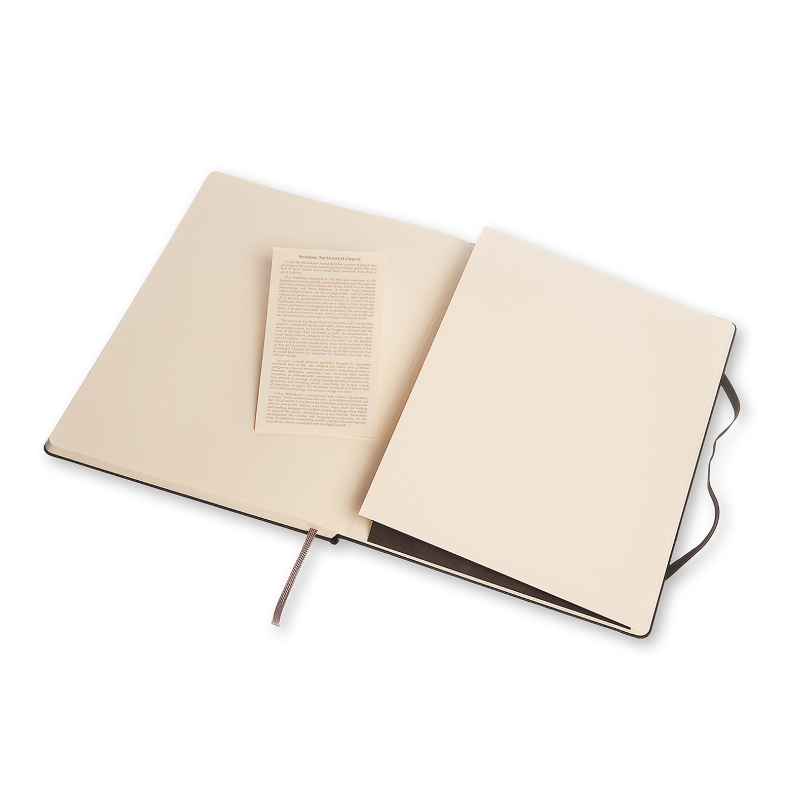 Moleskine Classic : Extra Large Notebook, Ruled, Black, Hardcover by ...