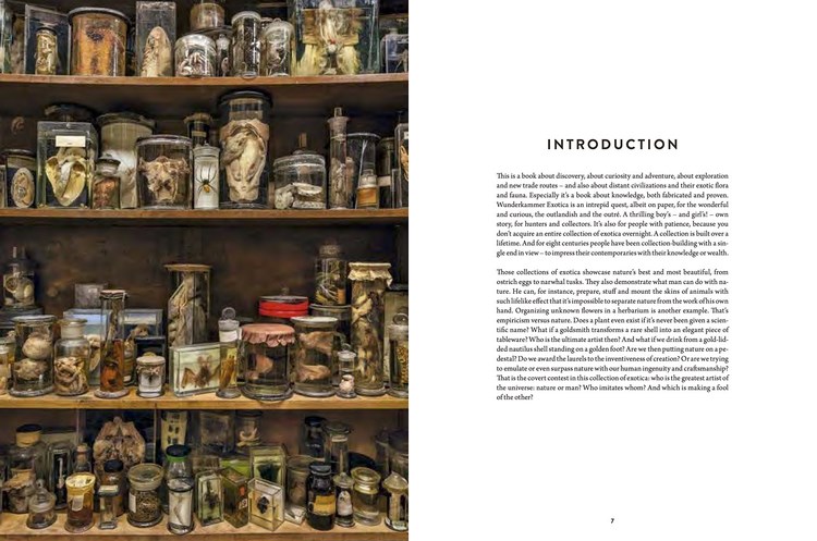 Wunderkammer, An Exotic Journey Through Time by Thijs Demeulemeester ...
