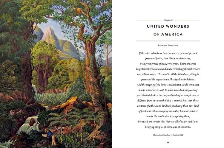 Wunderkammer, An Exotic Journey Through Time by Thijs Demeulemeester ...