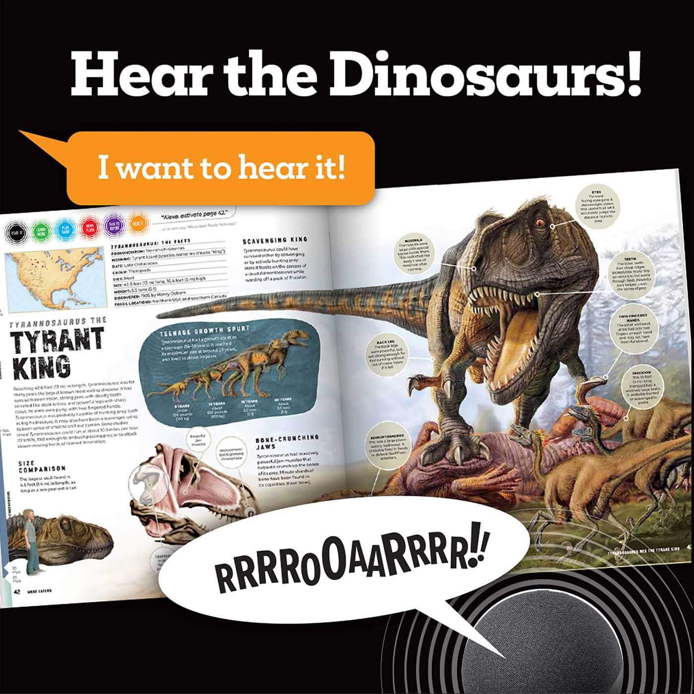 Discover: Dinosaurs (Ready Activated: A Readyland Alexa Interactive ...